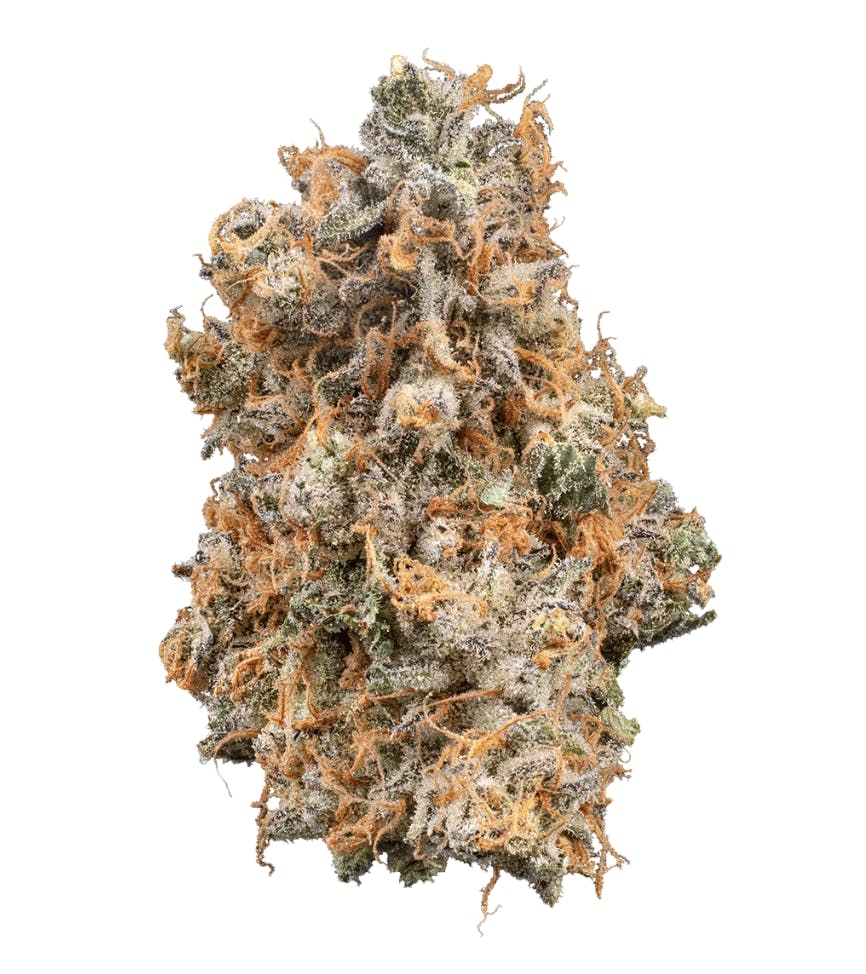 Woodward | Grapehead | Flower | 5.66G - Woodward Fine Cannabis