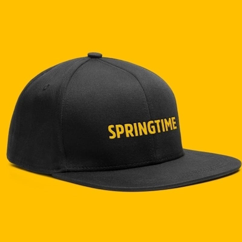 Springtime Snapback Hat - Springtime