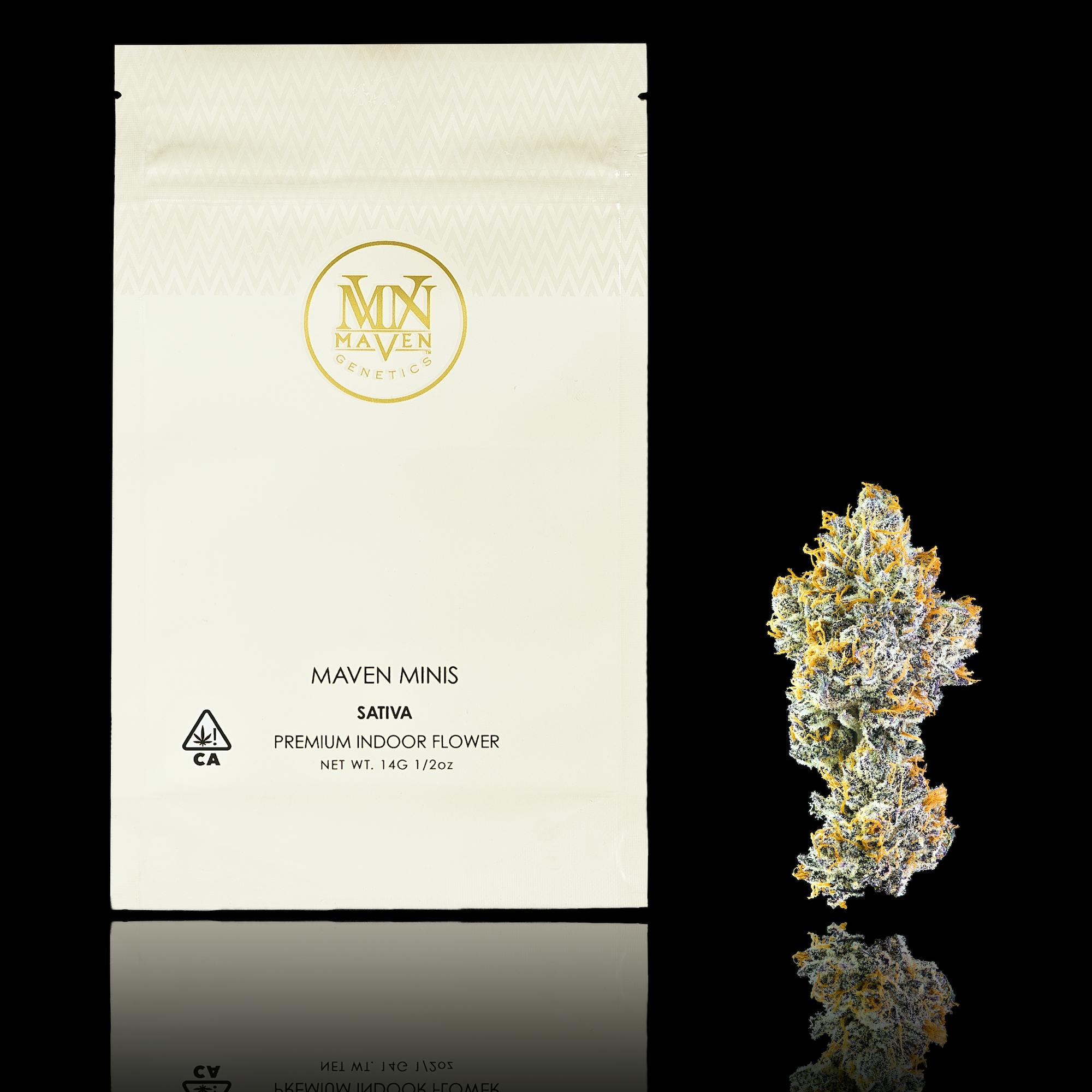 Orange Bellini Maven Minis [14g] - Maven Genetics