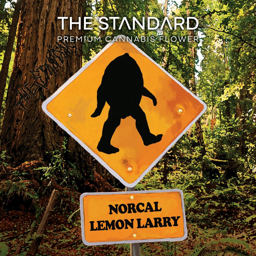 The Standard - Norcal Lemon Larry Flower - The Standard