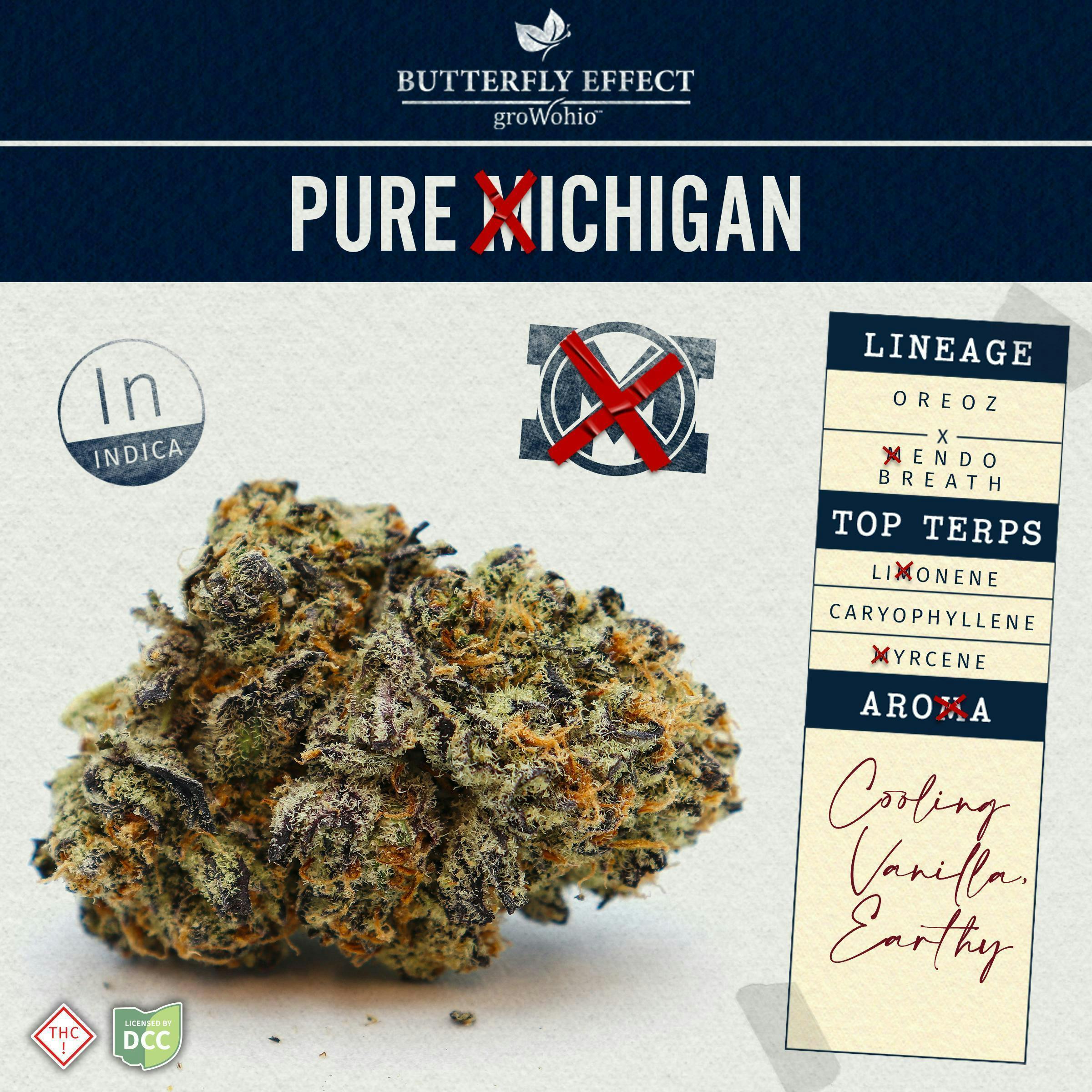 Pure Xichigan - 2.83g Flower - Butterfly Effect - Grow Ohio