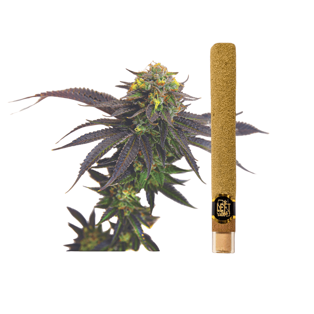 2G - Grape Cookies Infused Blunt Roll - LEFT COAST