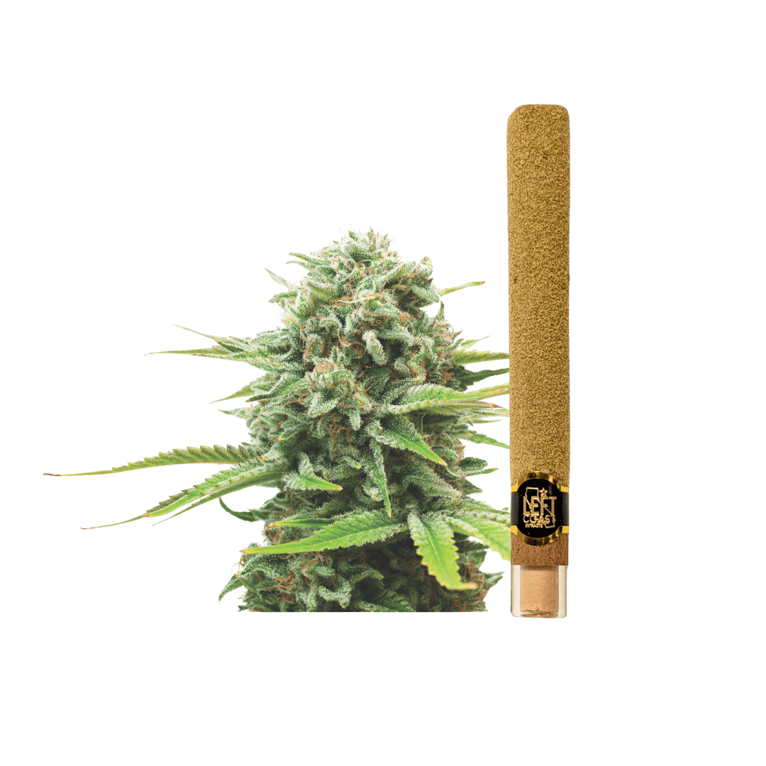 2G - Monster Cookies Infused Blunt Roll - LEFT COAST