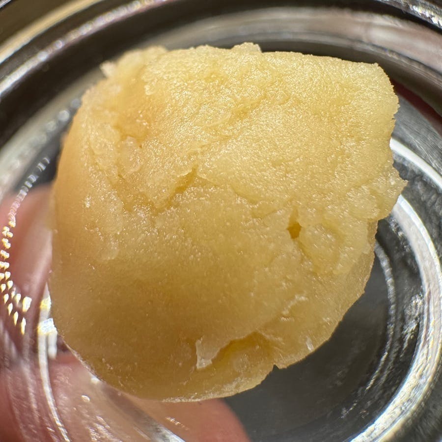 Honey Banana Live Rosin 1g - Echo Electuary