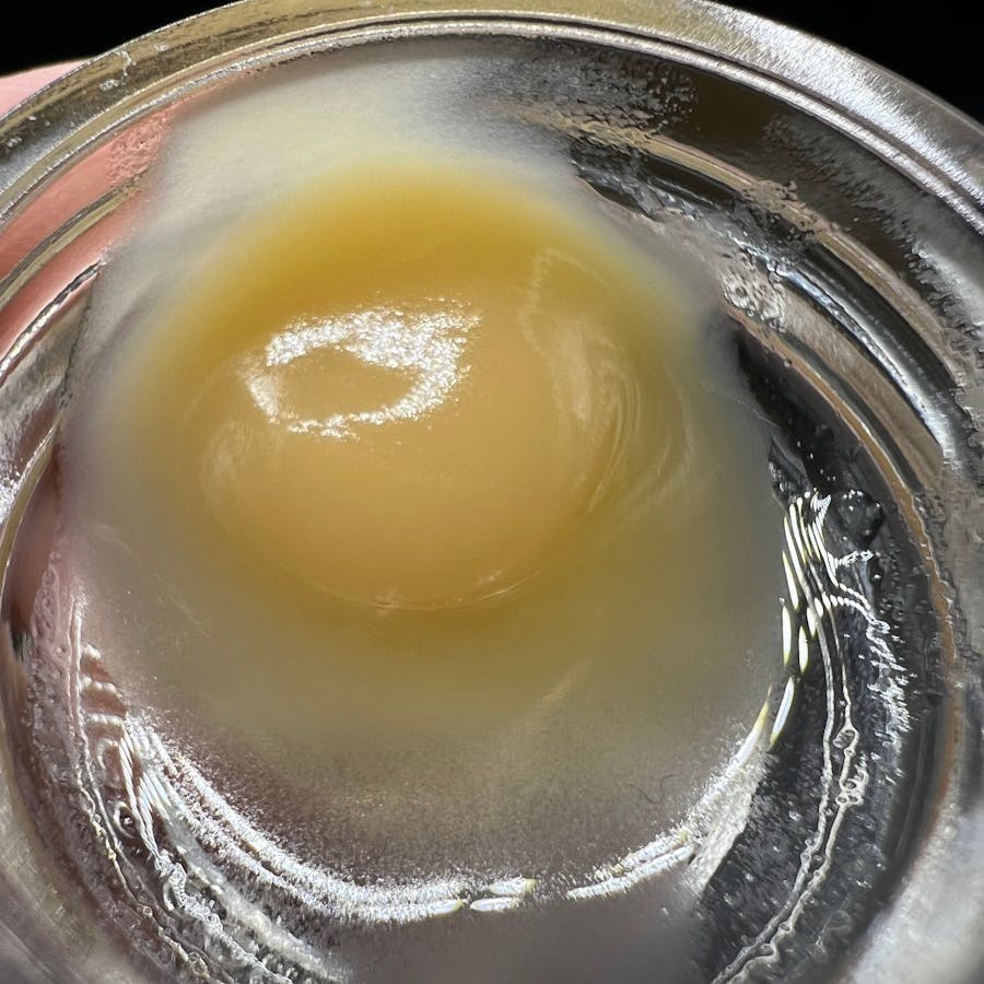 Amaretto (LLO Collab) Live Budder 1g - Echo Electuary