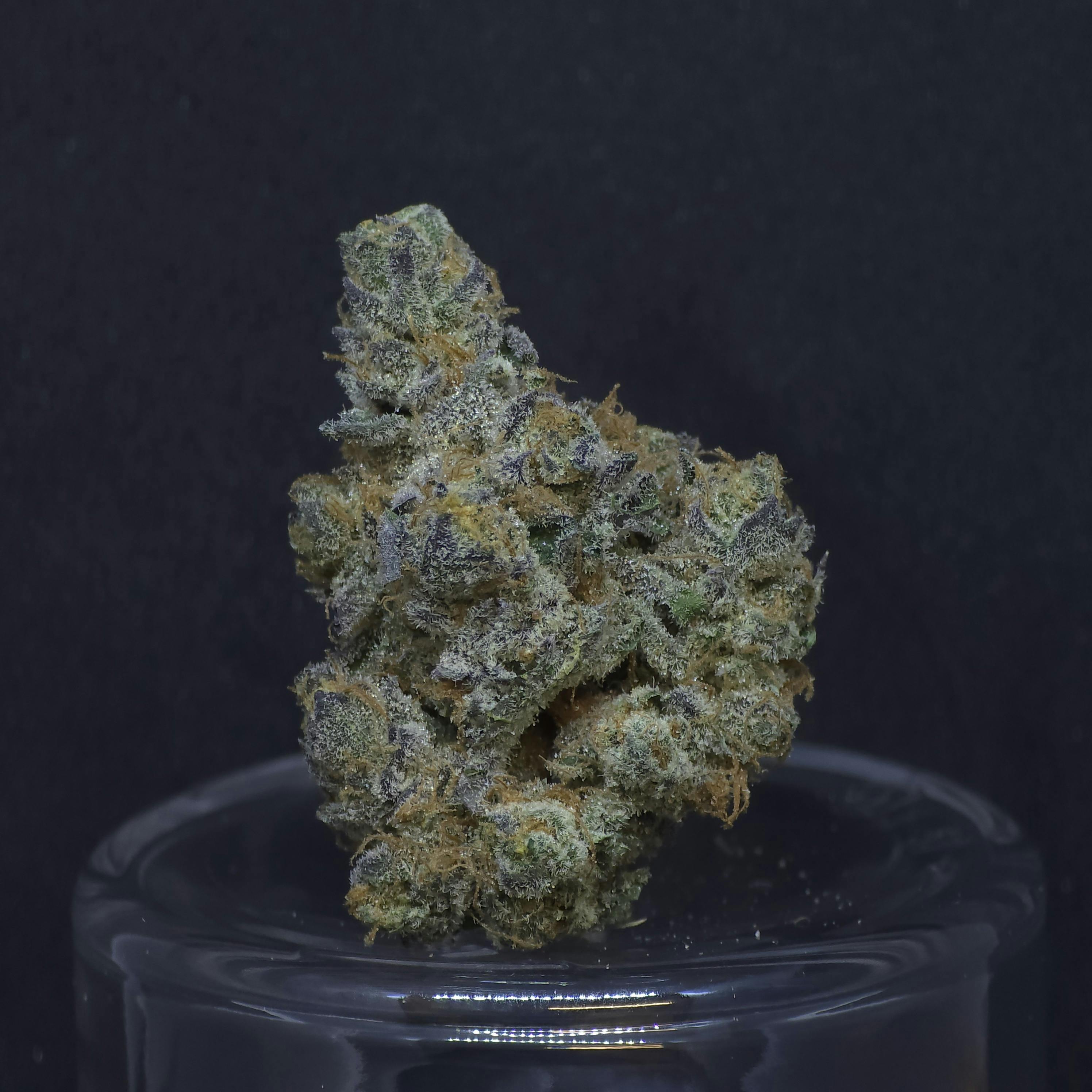 Animal Mints .5g - 20 Pack - BAM Alaska