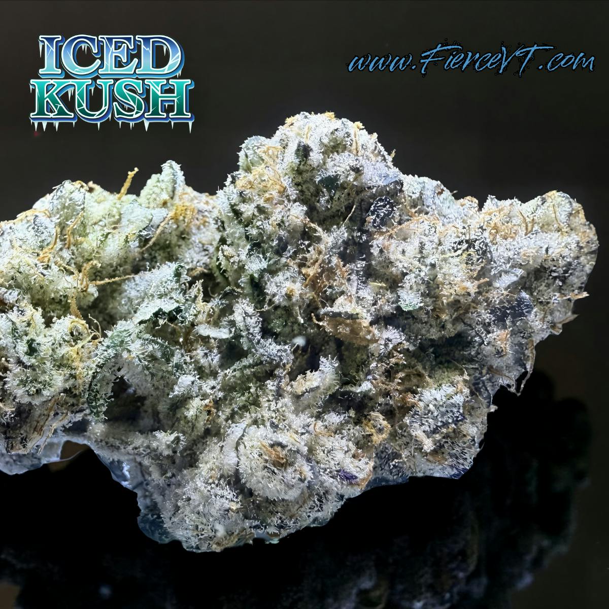 ICED KUSH - FIERCE CULTIVATION