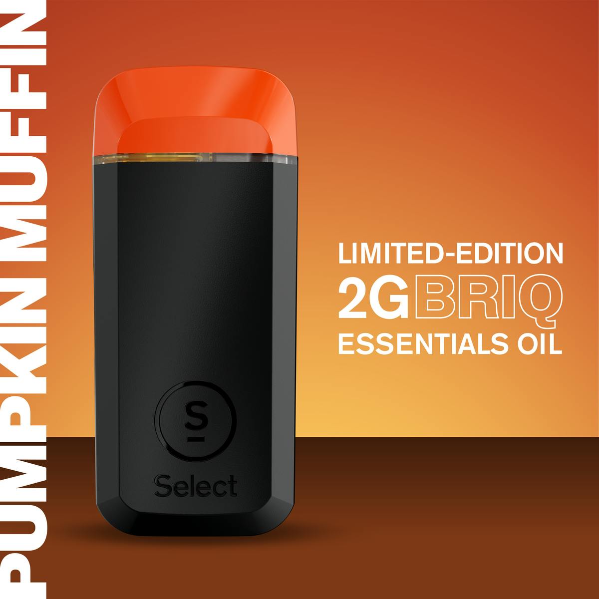 BRIQ Essentials All in one - Pumpkin Muffin 2g - Select
