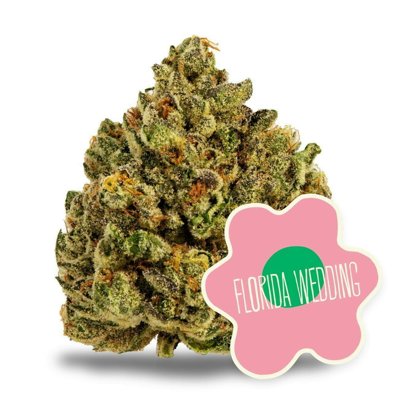 Florida Wedding Flower 28g - District Cannabis