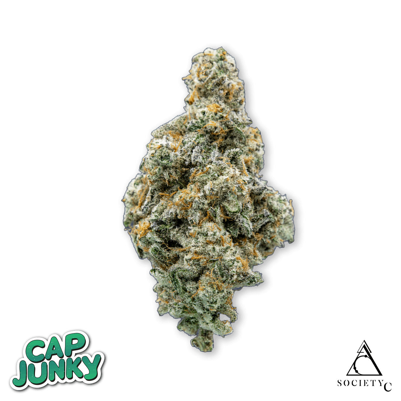 Society C - Cap Junky - Society C