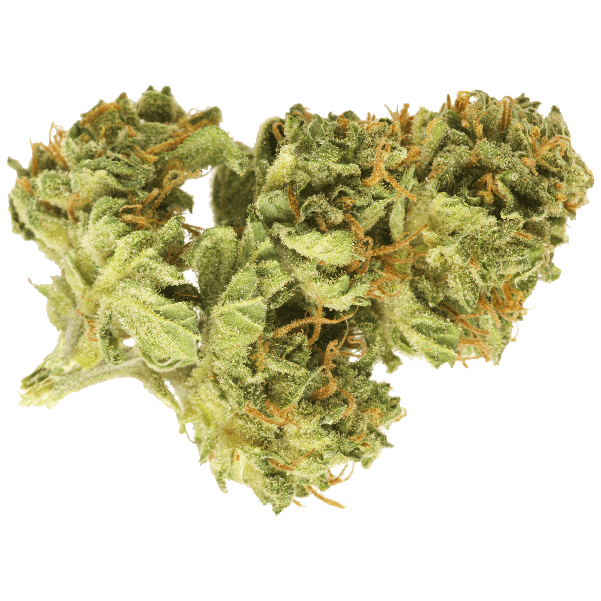 Jean Guy - 3.5g - Fogtown Flower | Weedmaps