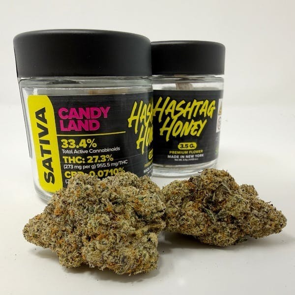 Hashtag Honey - Flower - Candy Land - 3.5g - Flor de Fred - Queens ...