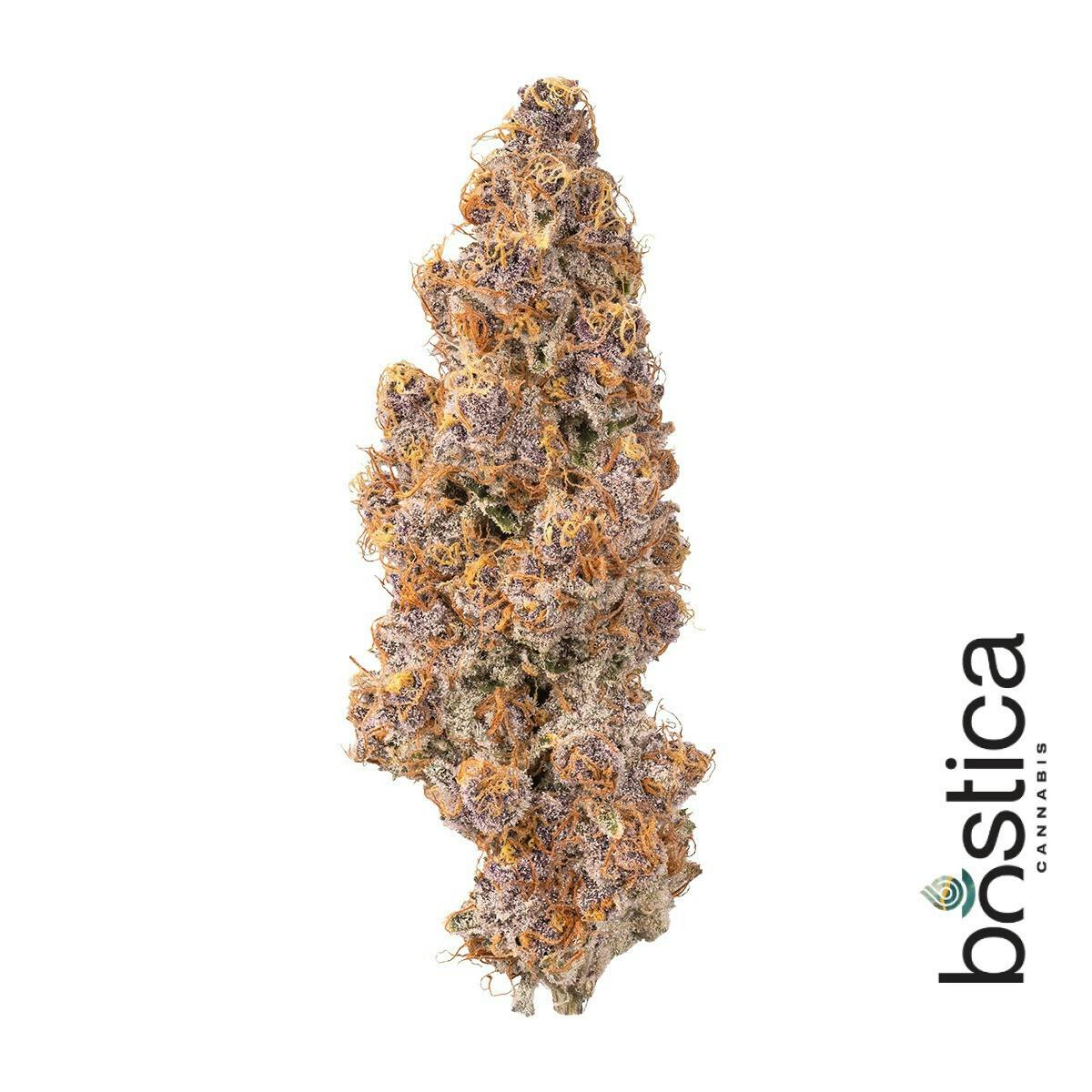 Lemons & Cherries - 3.5g - Bostica