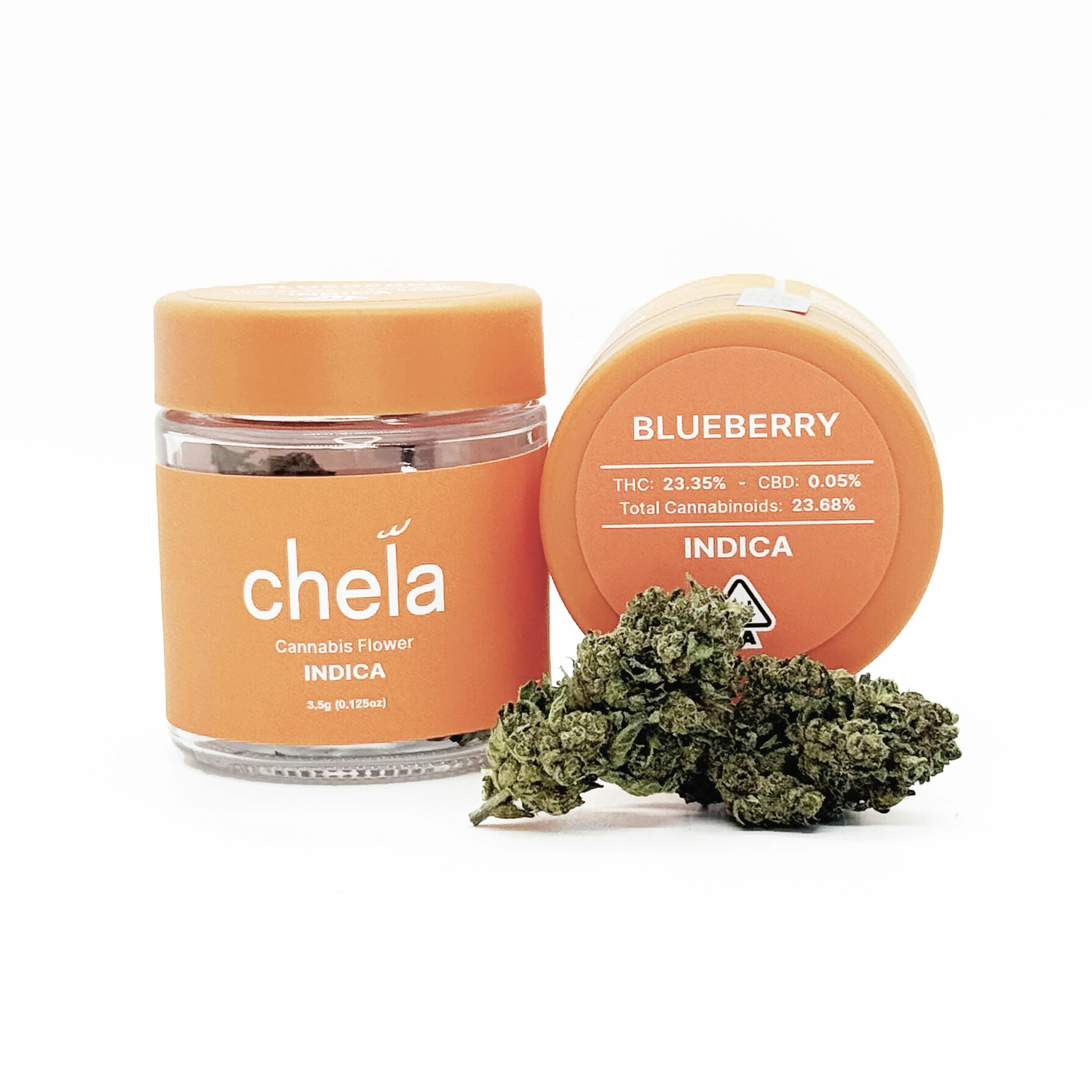 Chela - Light - Blueberry - Chela