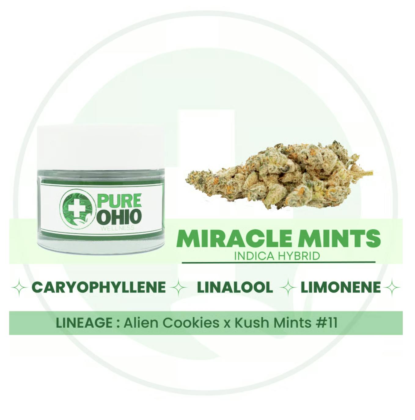 Miracle Mints - 2.83g - Pure Ohio Wellness