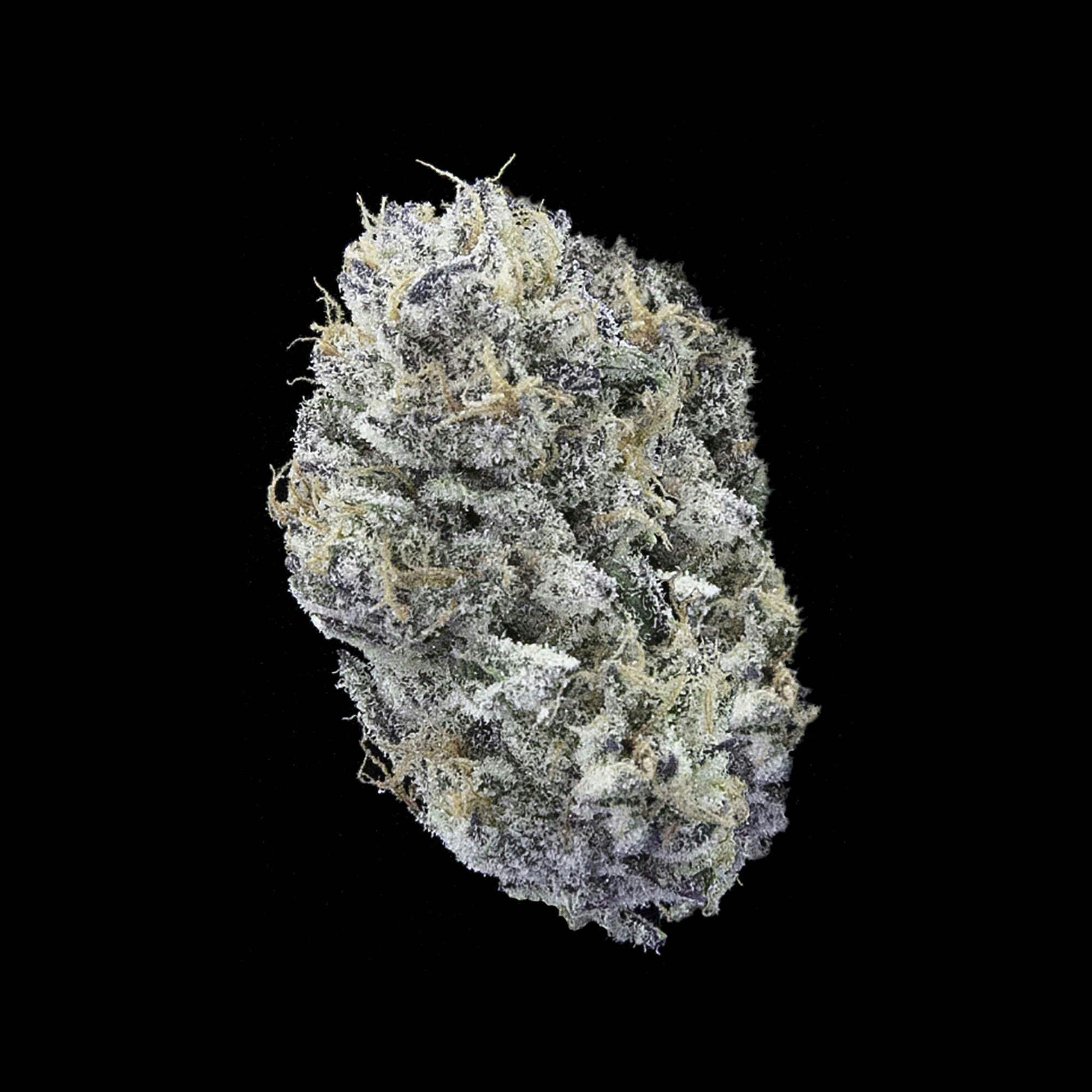 Candy Queen - Falcanna