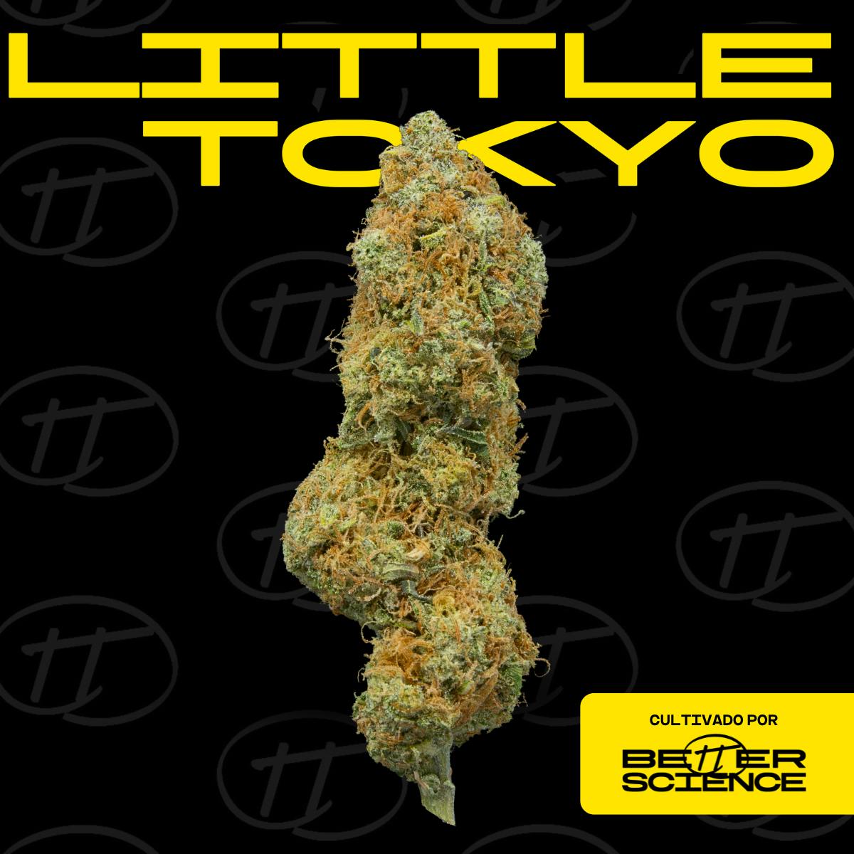 BSC - Little Tokyo 1 - Flor - Better Science