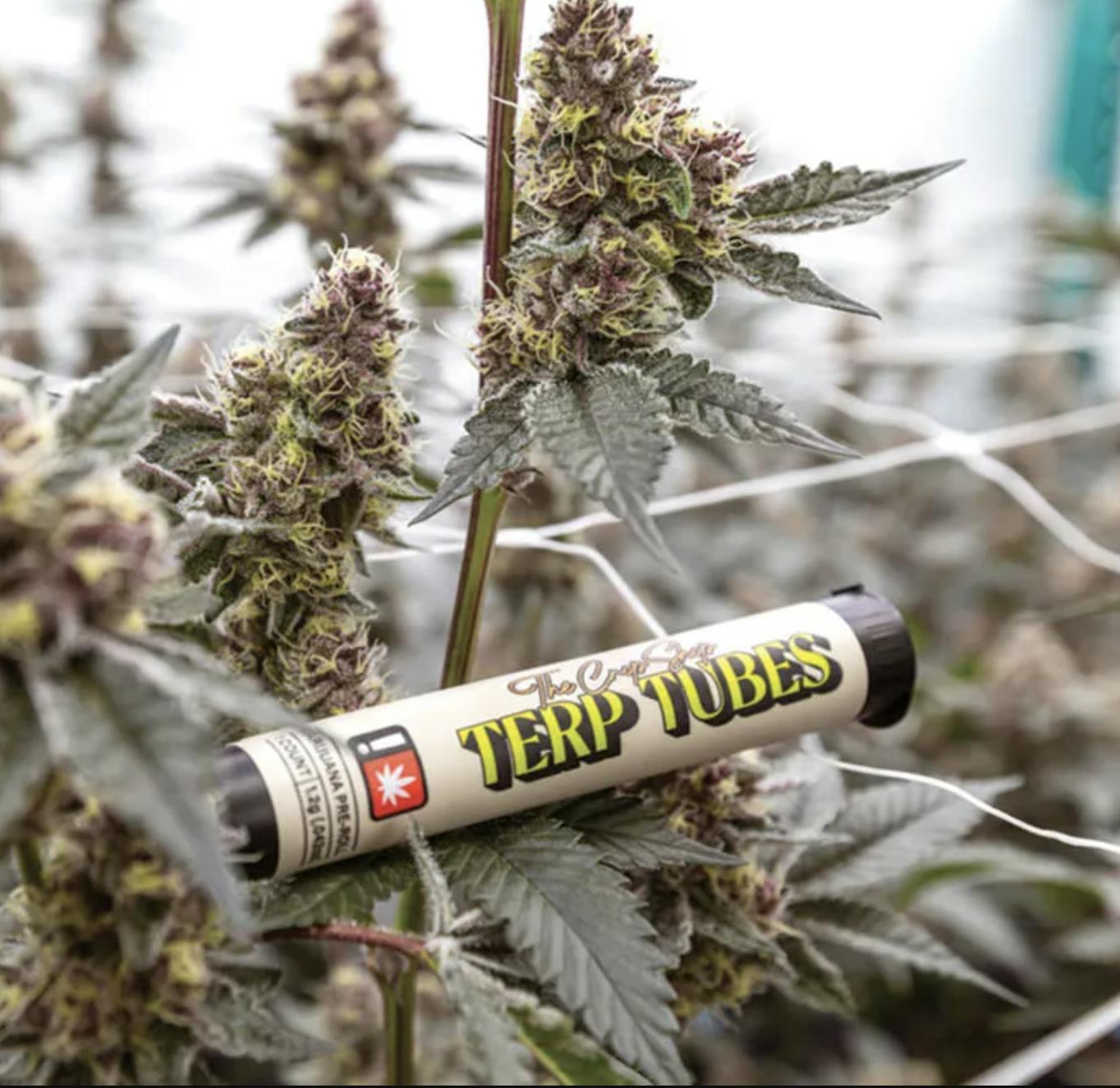 White Truffle | The Crop Shop | Preroll | 1G - The Crop Shop