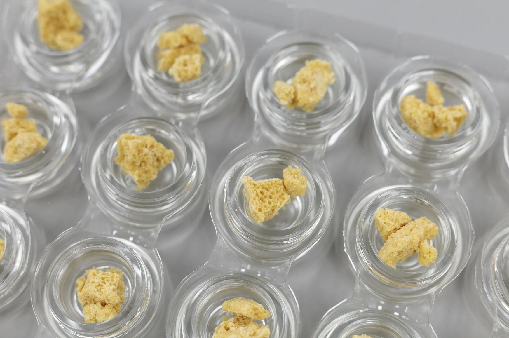 Divine Extracts | Blue Dream | Cured Crumble | 1G - Divine Extracts