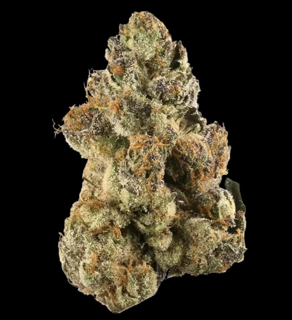 HGN | Rainbow Gelato | Flower | 14G - Humboldt Growers Network