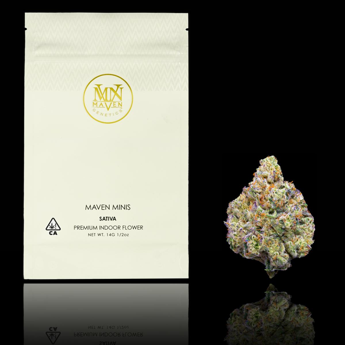 Pineapple Biscotti Maven Minis [14g] - Maven Genetics