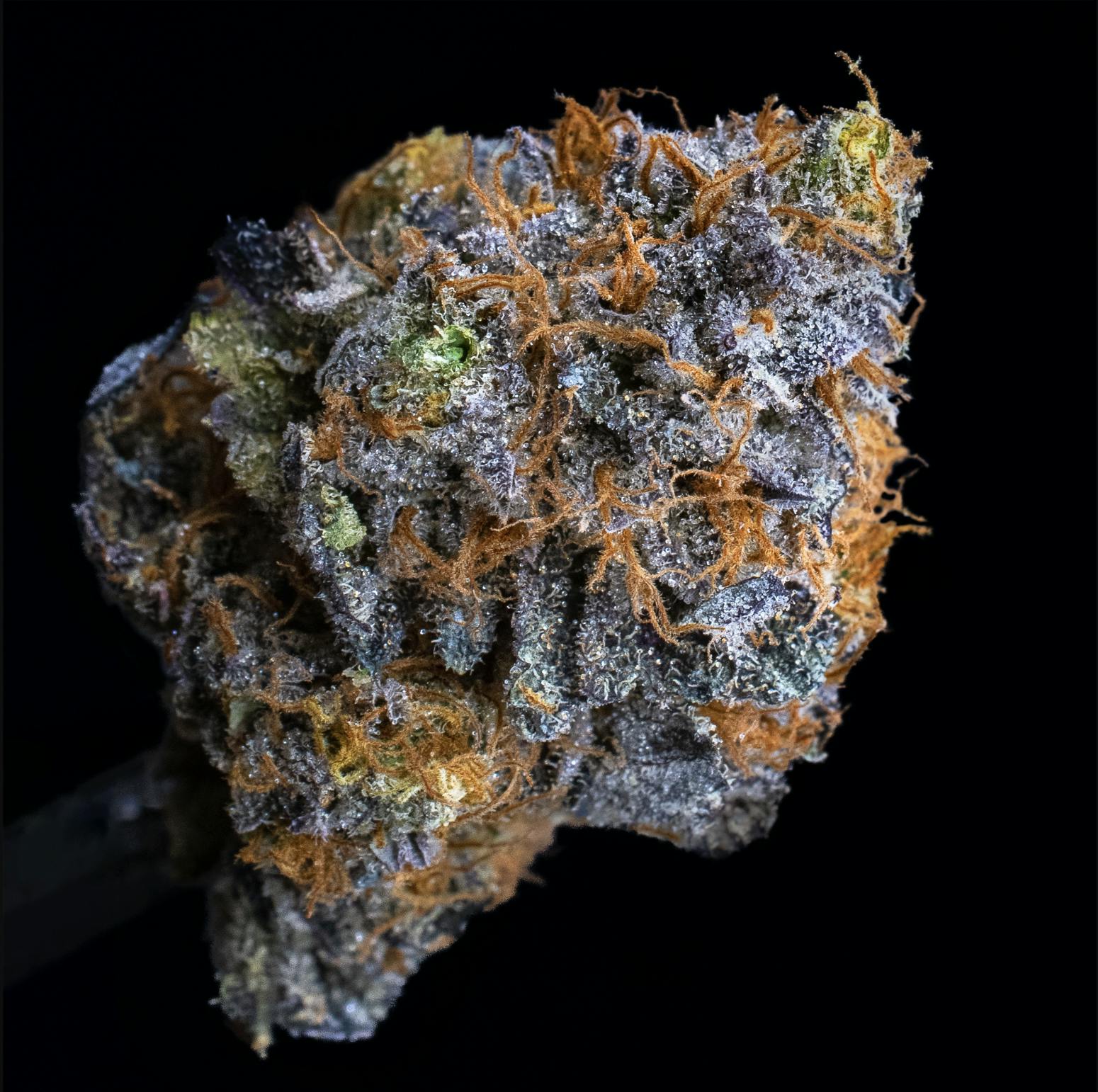 Apples and Bananas | Upstate Elevator Operators | Flower | 3.5G ...