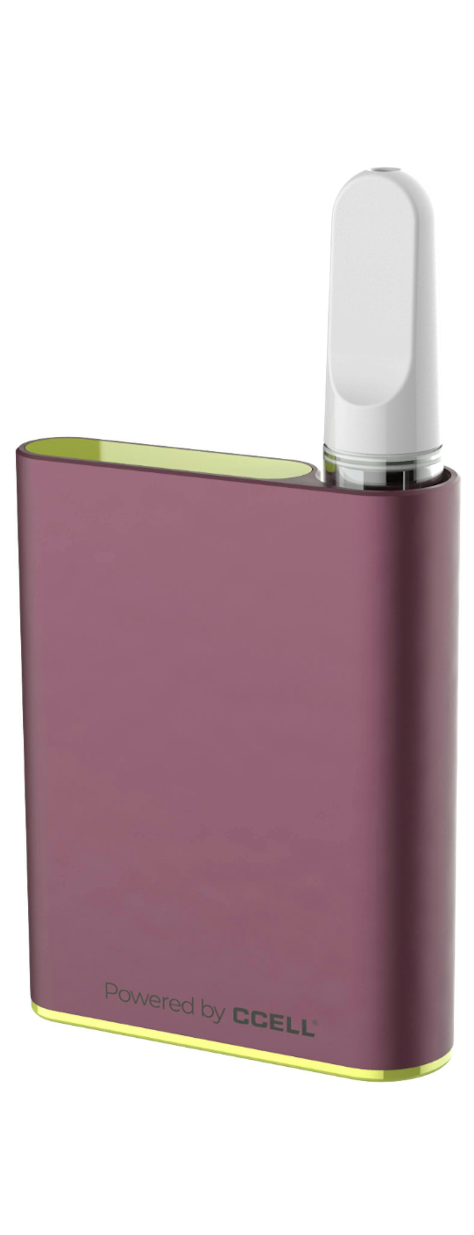 INSA - Plum Palm Battery - INSA Logo - INSA