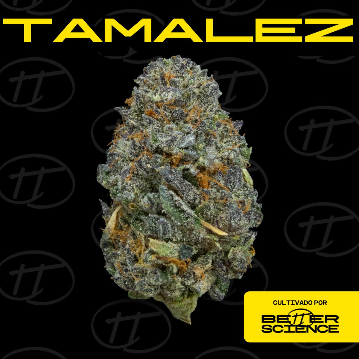 BSC - Tamalez - Flor - Better Science