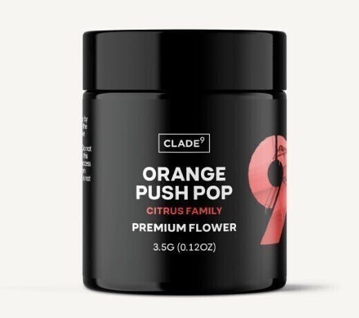 Orange Push Pop 7g Premium Flower - Clade9