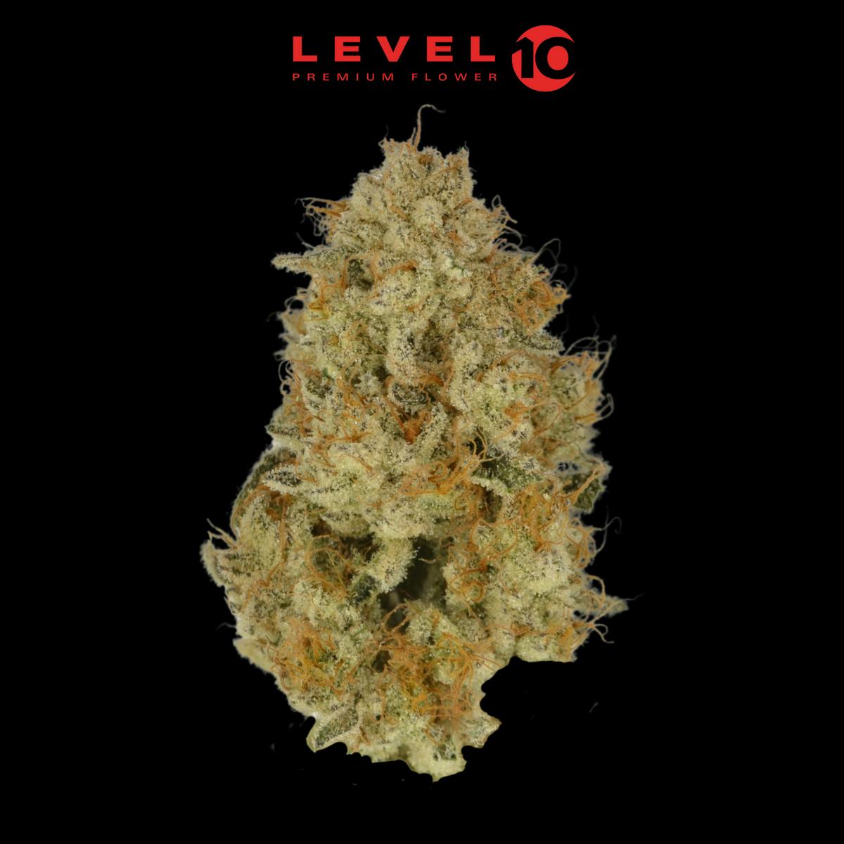 Level 10 - Cobra Chi - Flower - Level 10