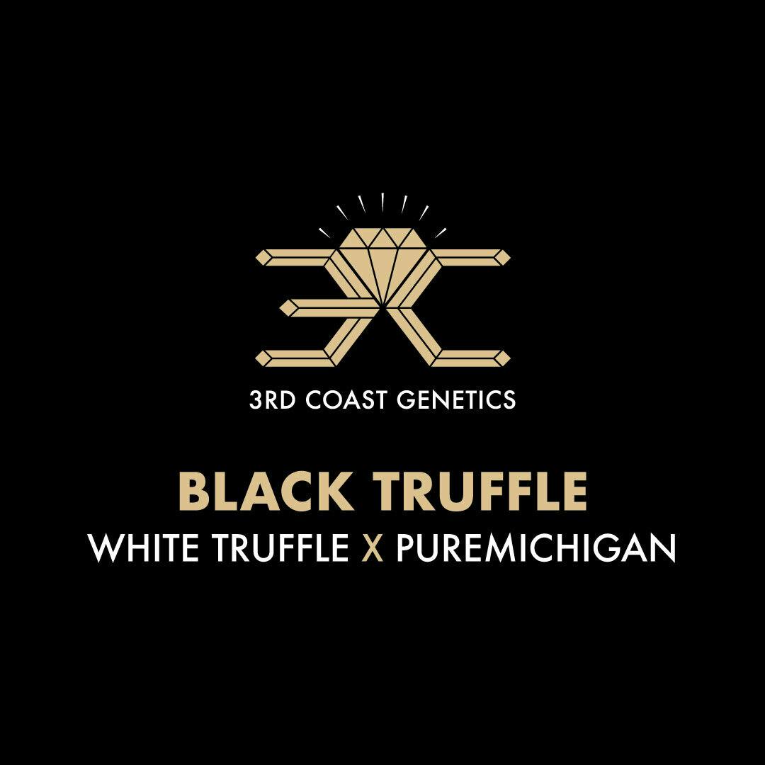 3rd Coast Genetics | Black Truffle | Seeds | 10pk - 3rd Coast Genetics