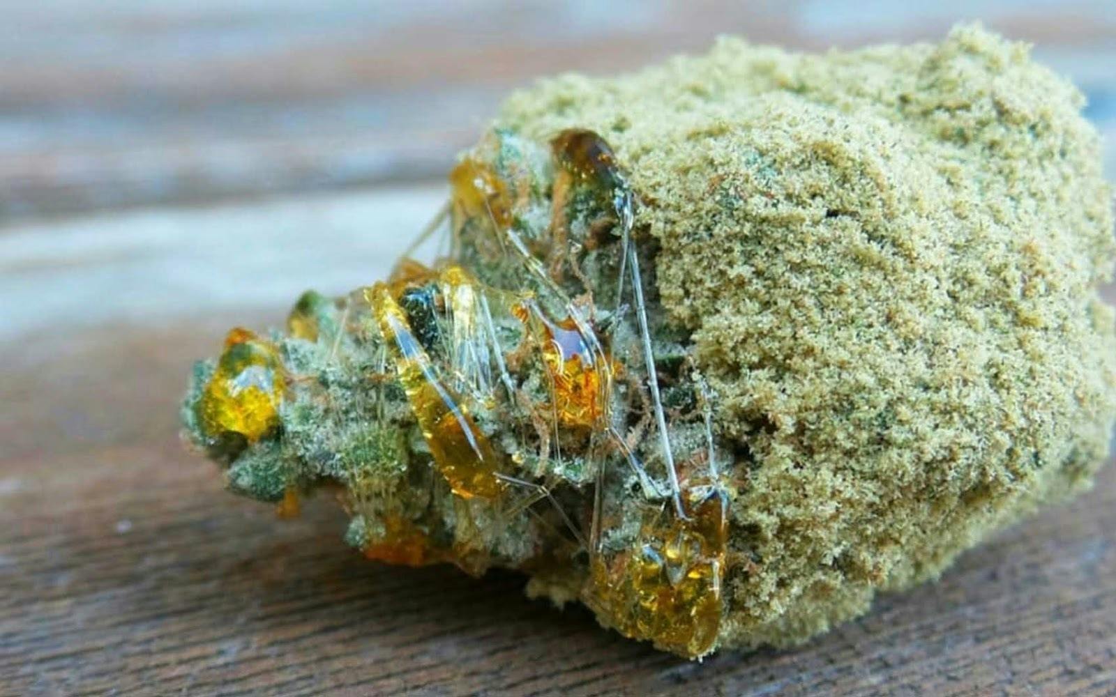 Gu Gu Gold | Infused Flower | 1g - Guurock International