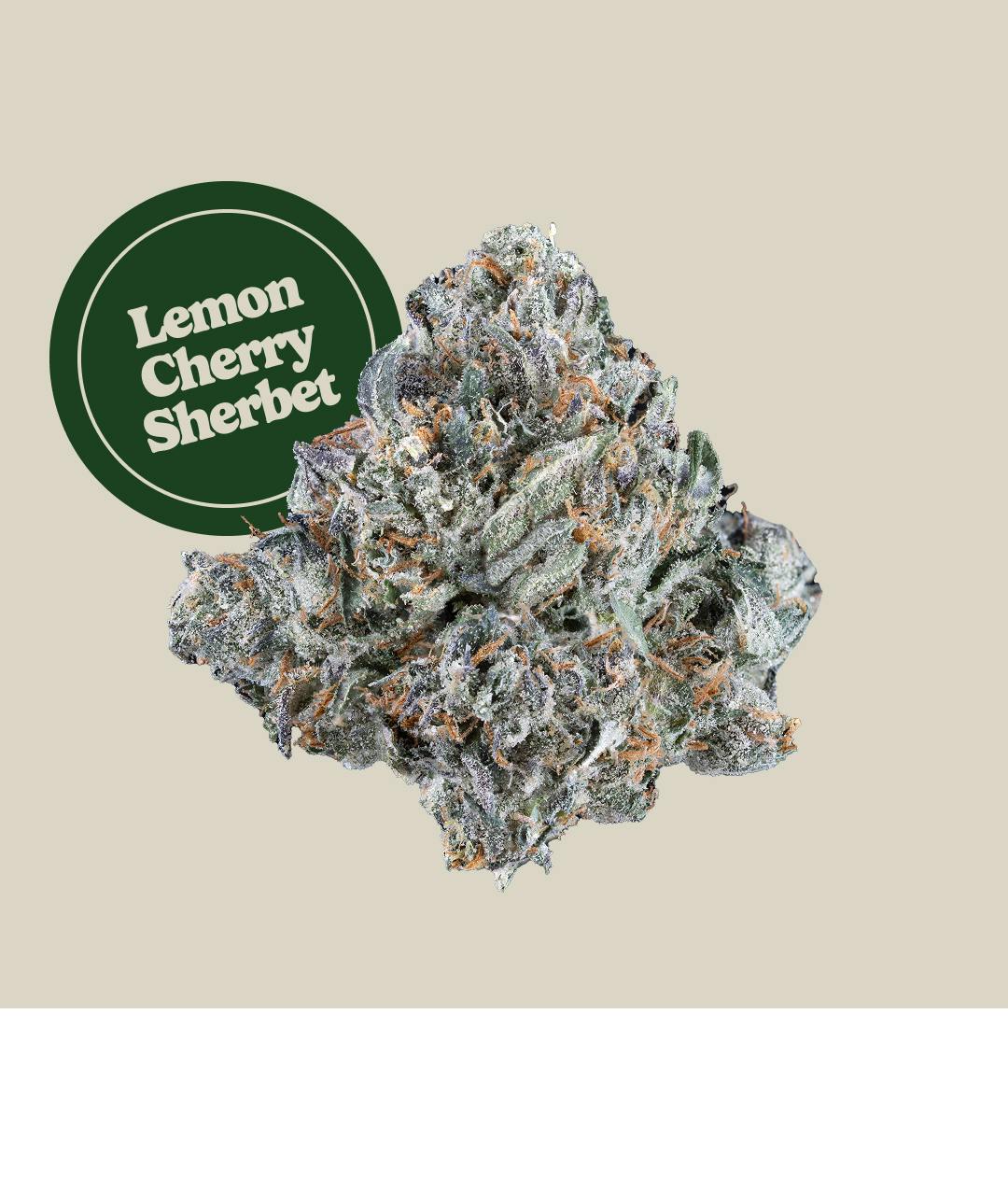 Lemon Cherry Sherbert | Big Buds | 3.5g - Frosted Nug at Red Bank ...