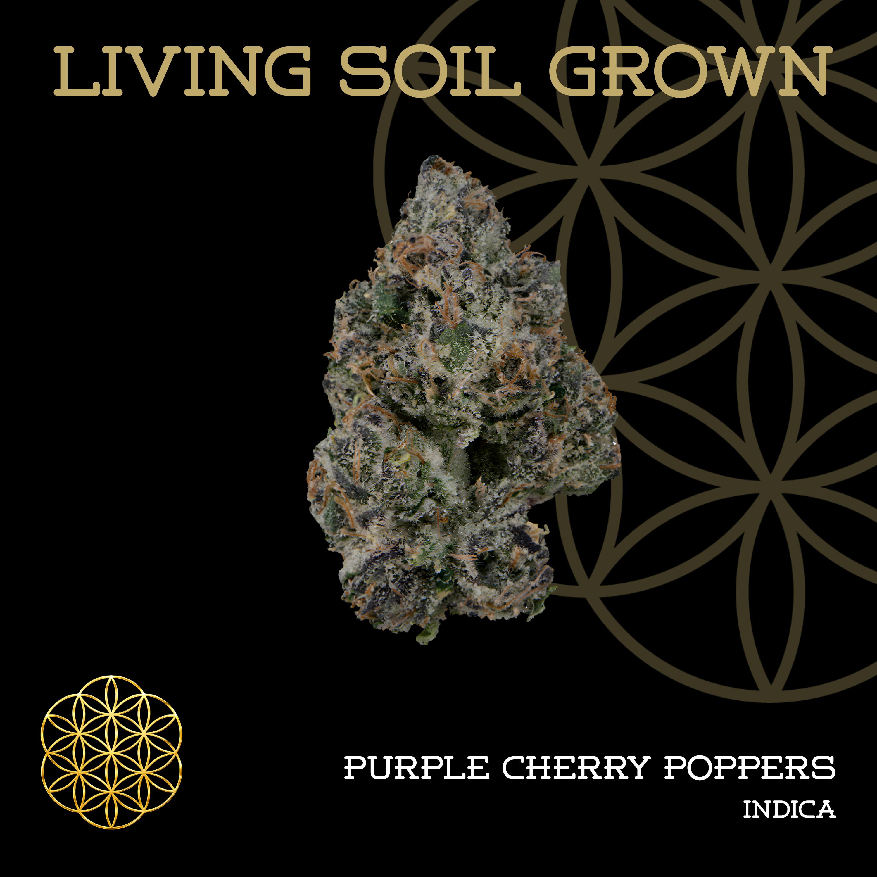 Purple Cherry Poppers | Bulk Deli | Living Soil - Flower of Life