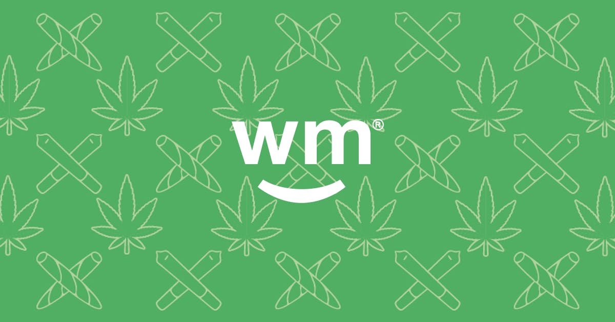 Exotic Runtz Weed Strain Information | Weedmaps Exotic Runtz Weed Strain Information | Weedmaps