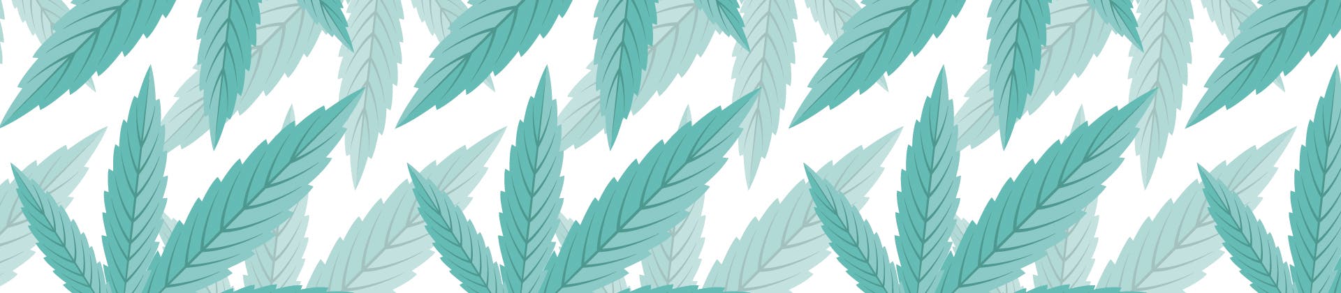 Cap Junky (aka Miracle Mints) Weed Strain Information | Weedmaps