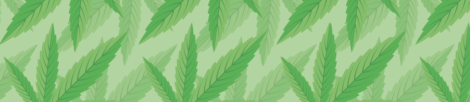 Alien Burger Weed Strain Information | Weedmaps