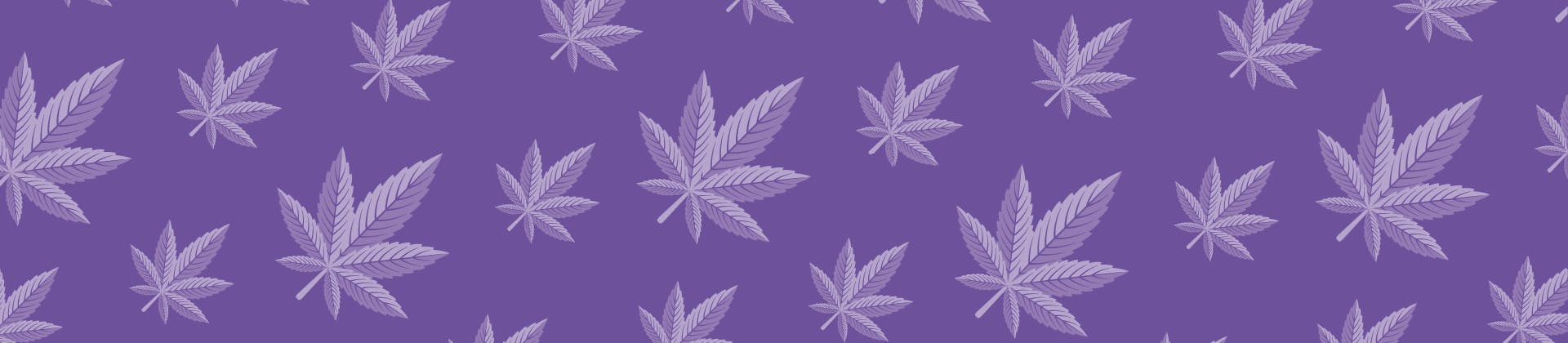 Pure Michigan Weed Strain Information | Weedmaps