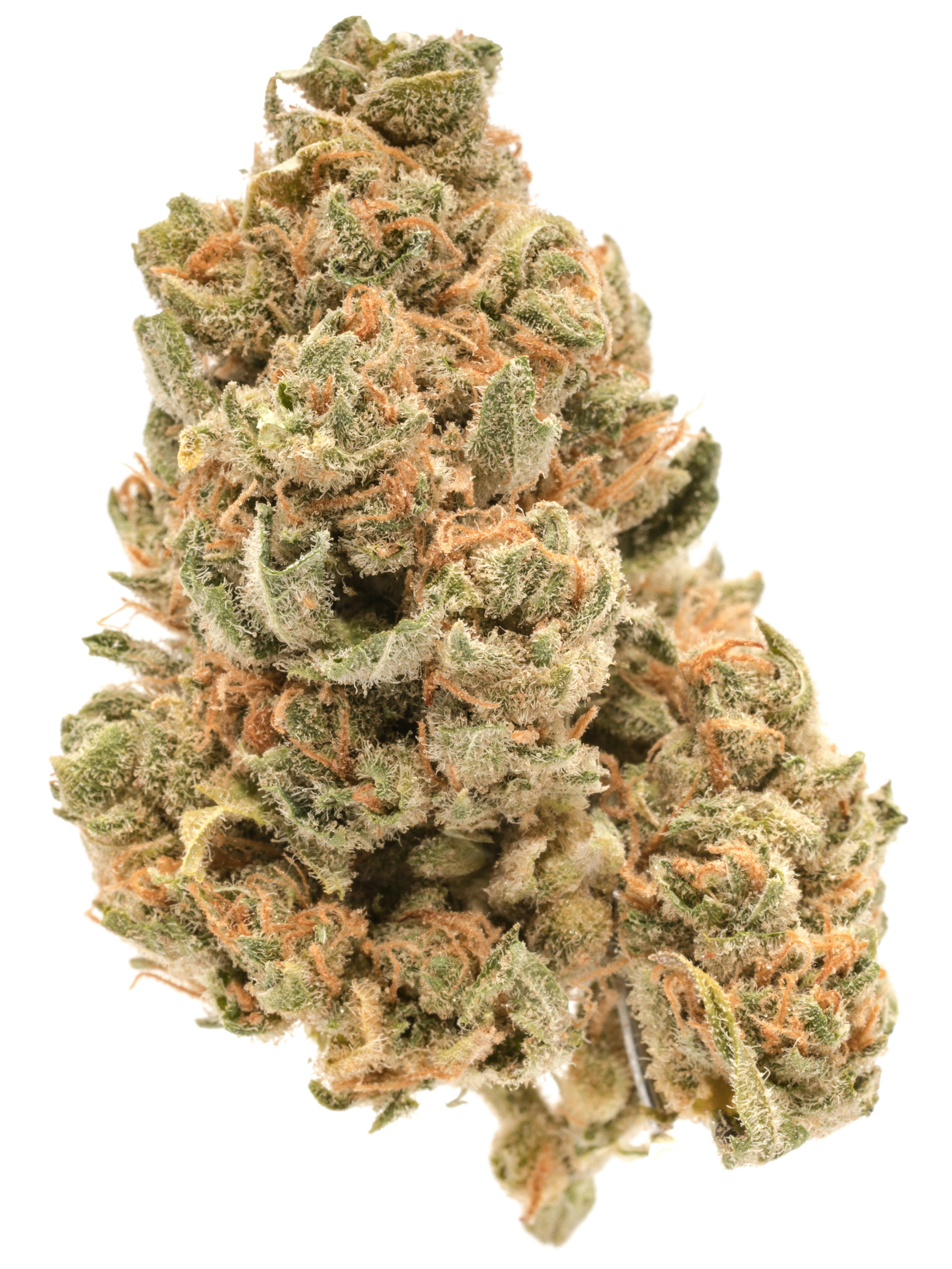 Chernobyl Weed Strain Information | Weedmaps Chernobyl Weed Strain Information | Weedmaps