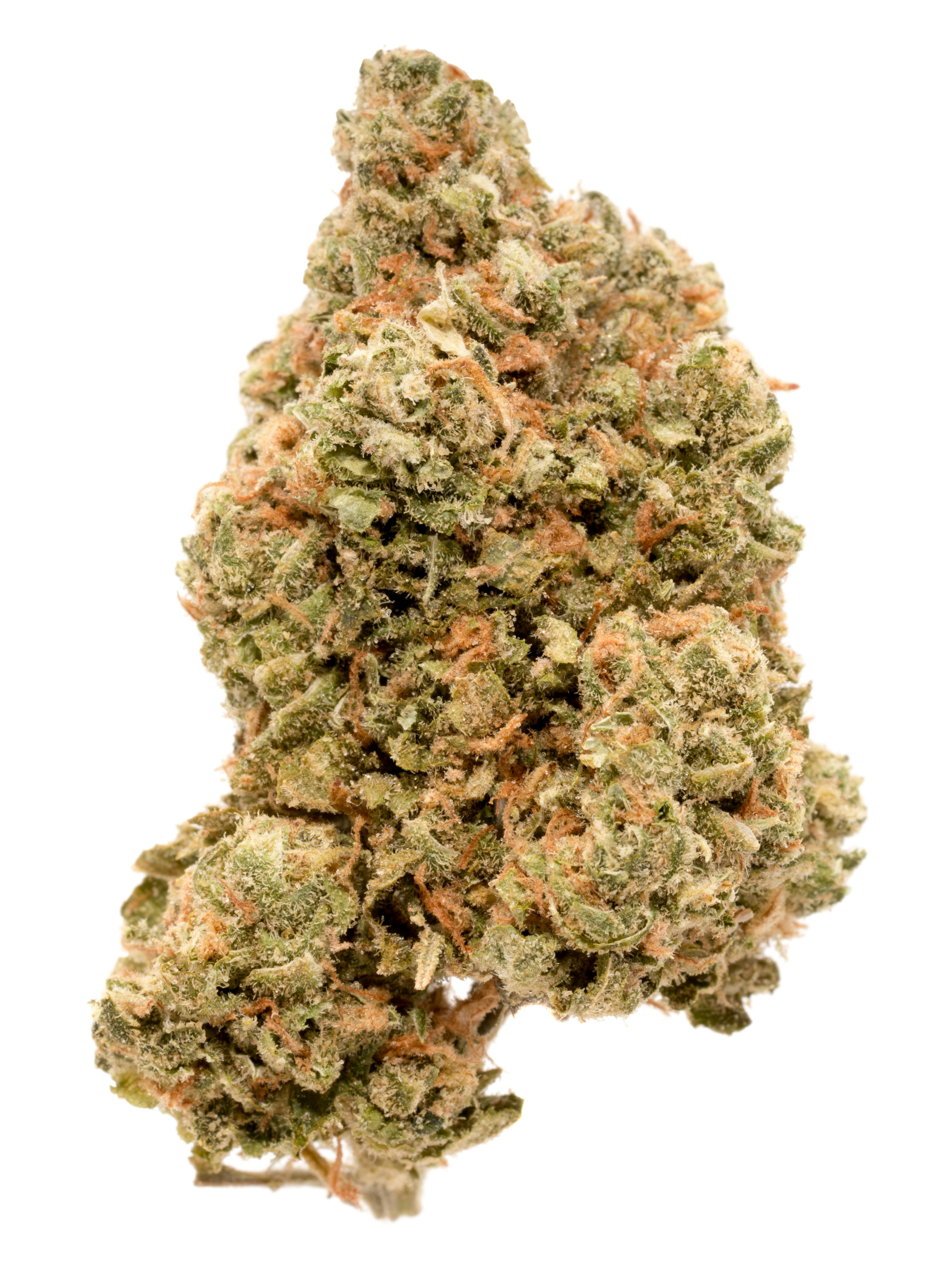 Jack One (aka J1) Weed Strain Information | Weedmaps