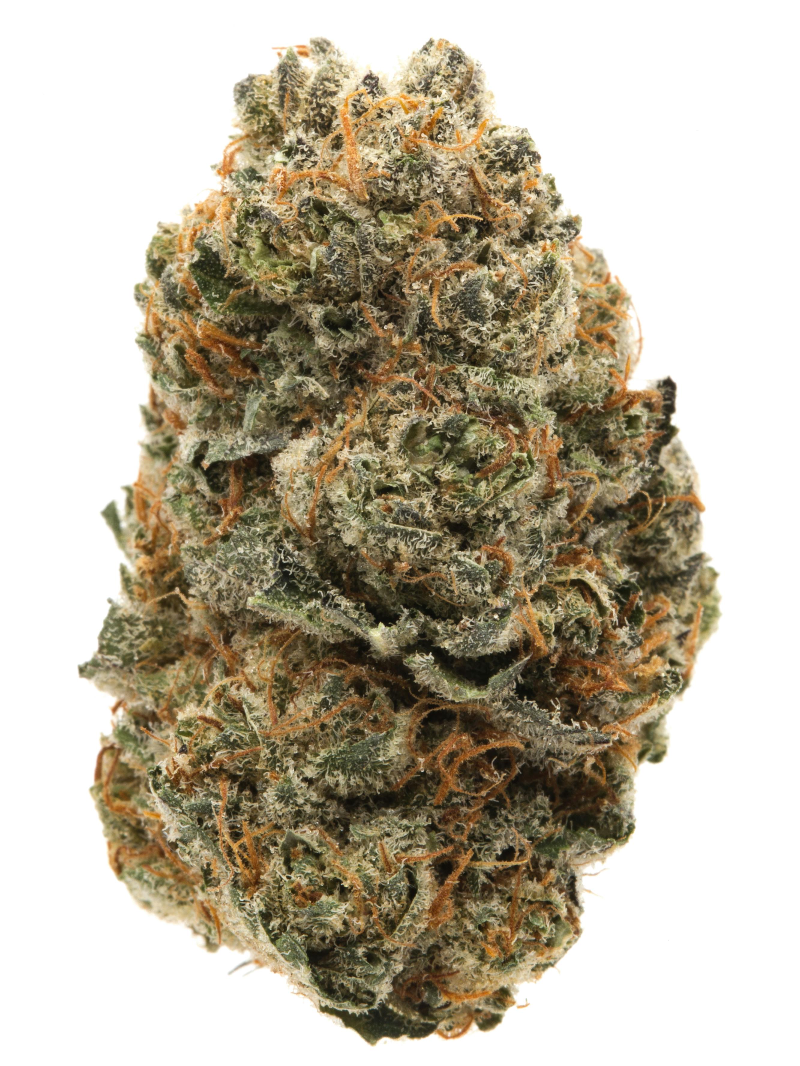 Medicine Man Weed Strain Information | Weedmaps