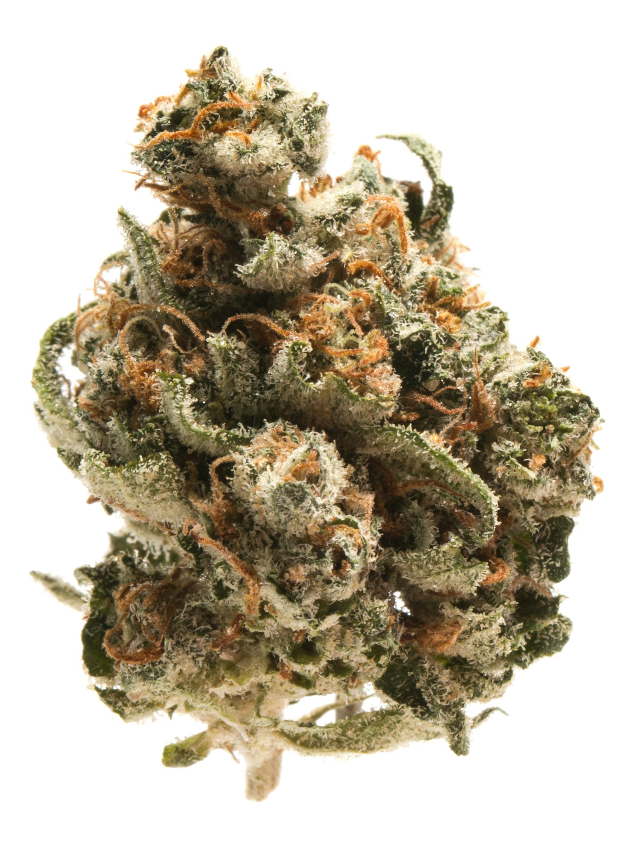 501st OG (aka 501 OG) Weed Strain Information | Weedmaps