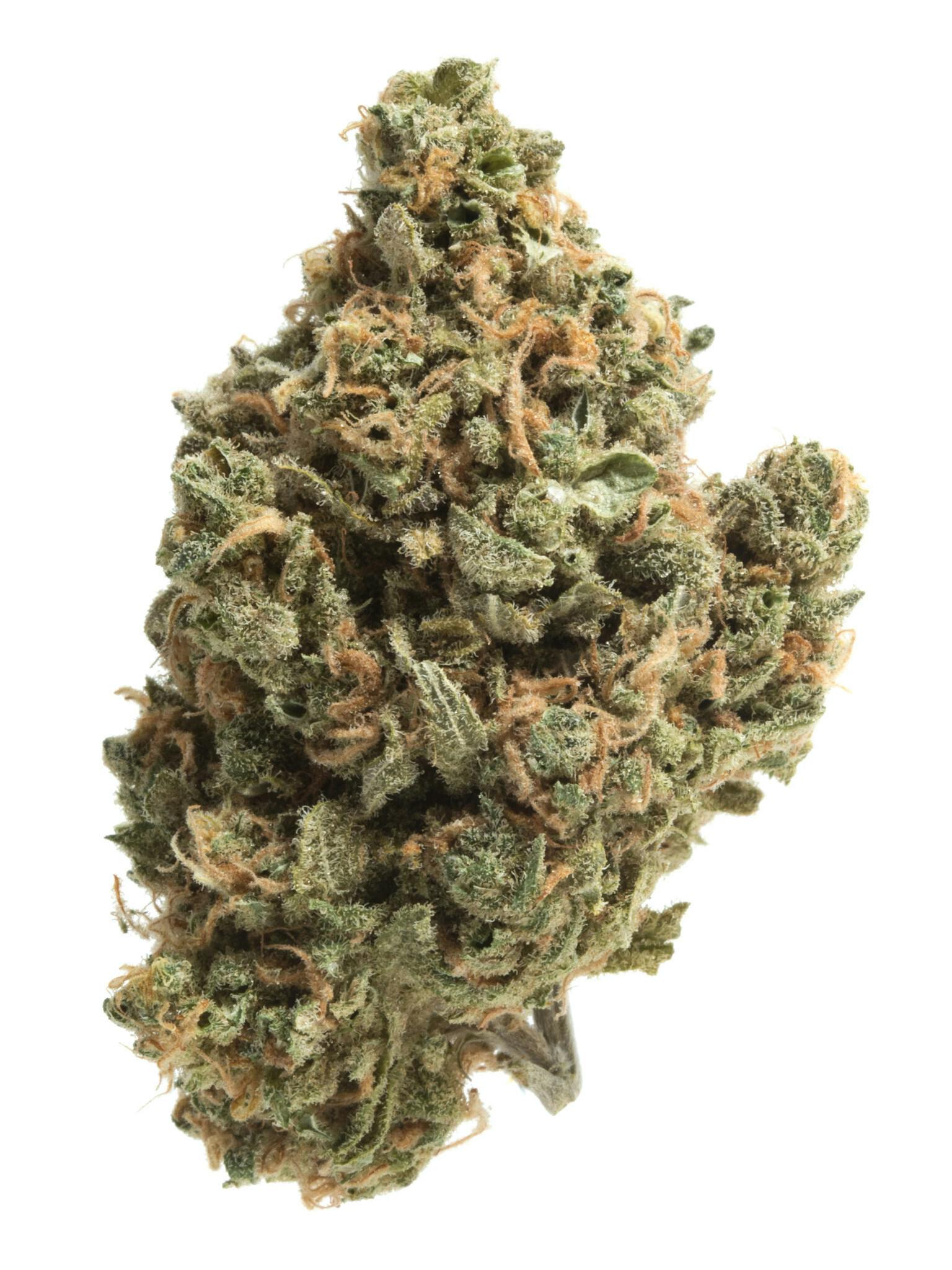 707 Headband (aka 707 OG) Weed Strain Information | Weedmaps 707 Headband (aka 707 OG) Weed Strain Information | Weedmaps