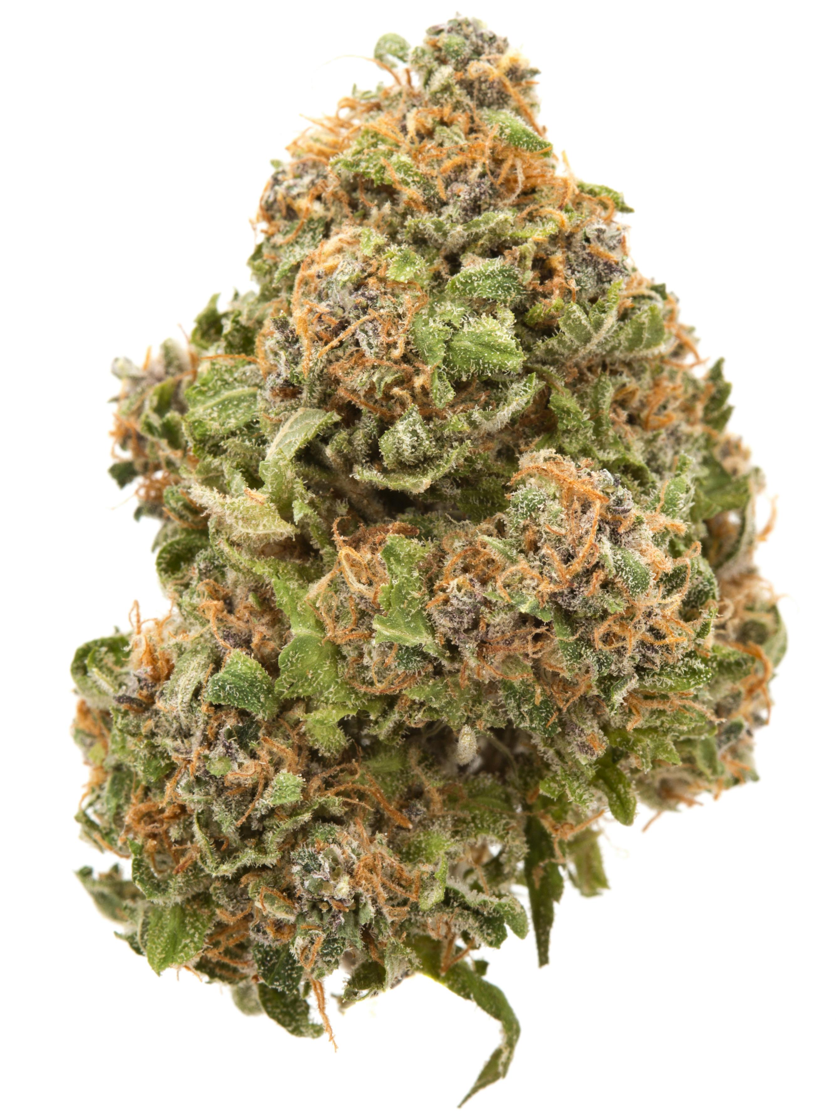 Cannatonic #4 Weed Strain Information | Weedmaps