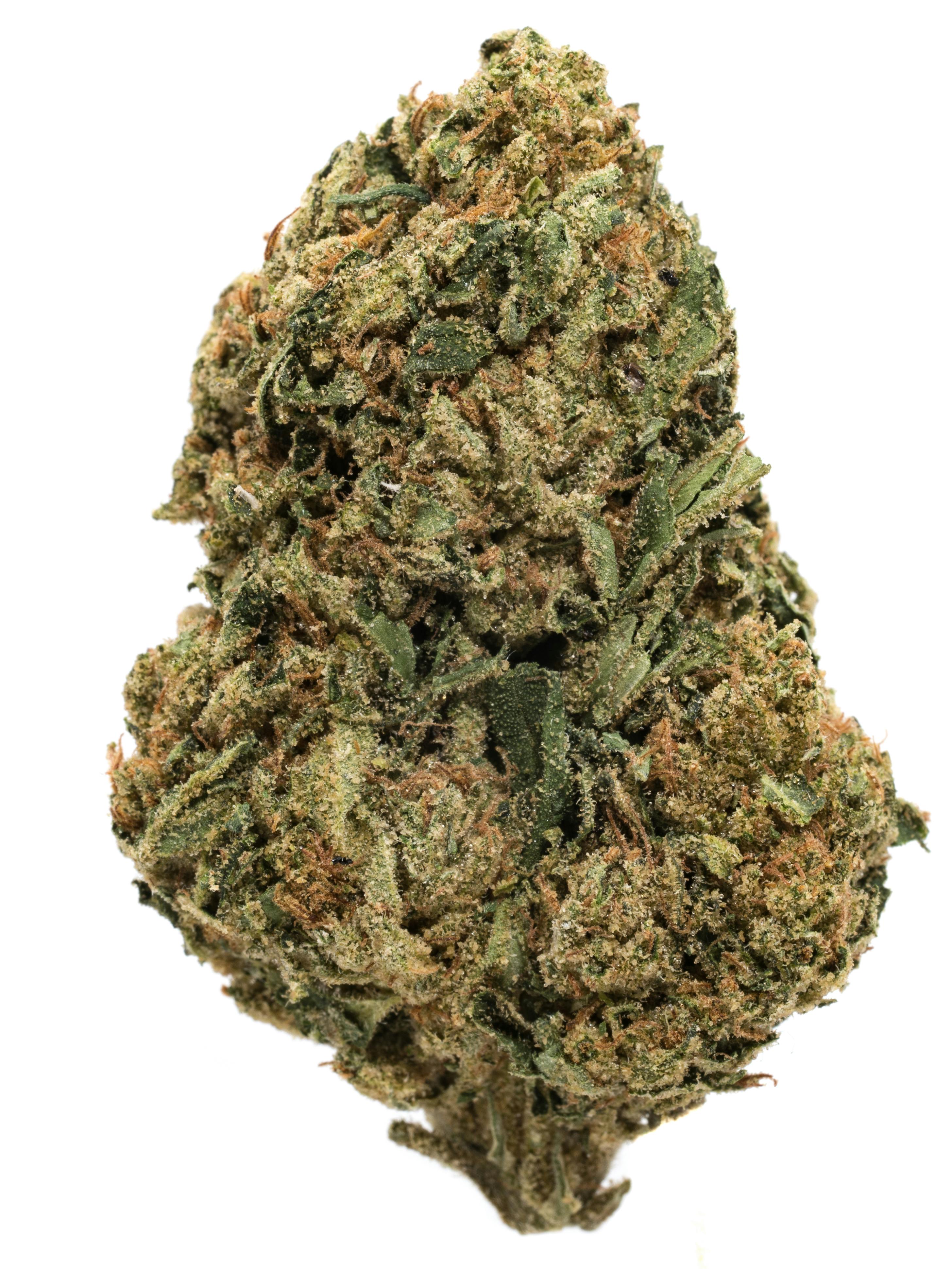 SnowLAnd (aka Snow Land) Weed Strain Information | Weedmaps