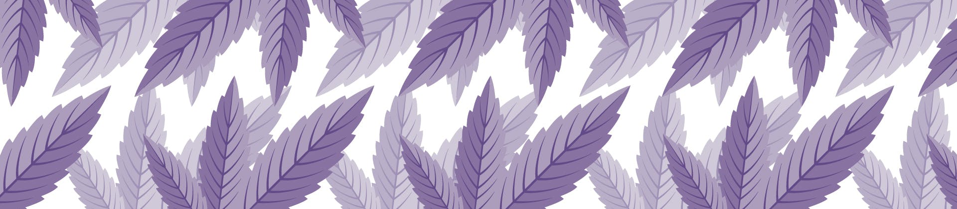 Ice Cream Cake (aka Cake'n Cream) Weed Strain Information | Weedmaps