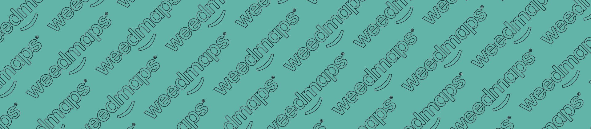 GTO Weed Strain Information | Weedmaps