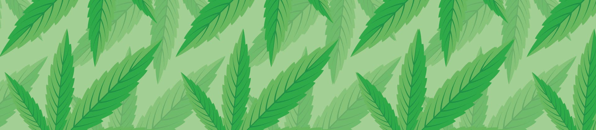 Harry Potter Weed Strain Information | Weedmaps