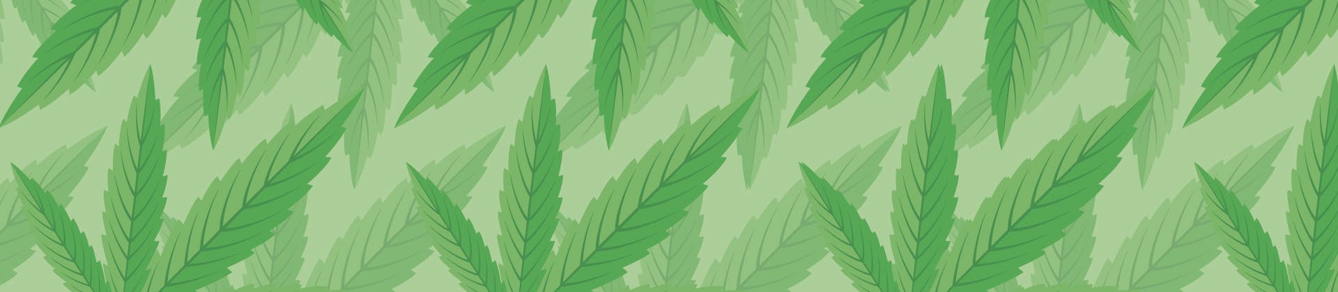 Tree of Life Weed Strain Information | Weedmaps