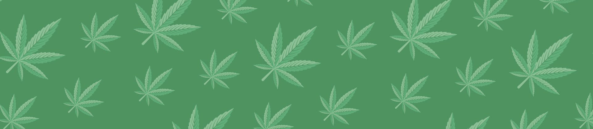 Pink Picasso Weed Strain Information | Weedmaps